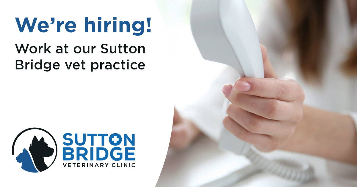 Veterinary jobs at a friendly Lincolnshire vet practice | Sutton Bridge ...