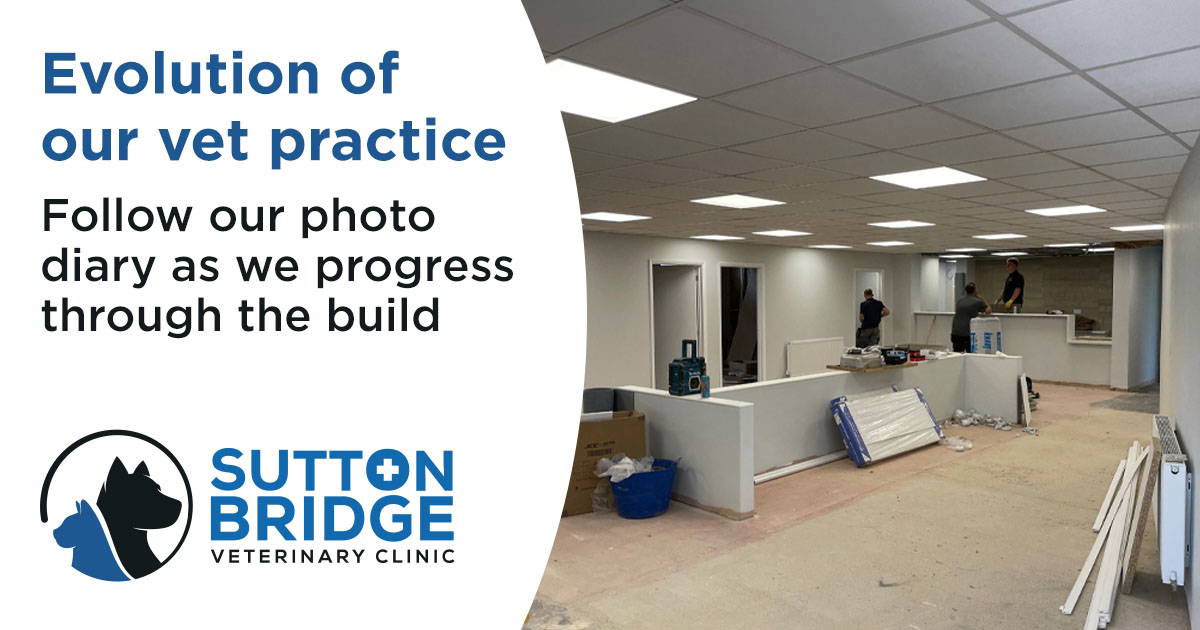 The evolution of a new vet practice | From humble beginnings…