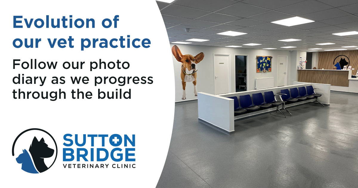 The evolution of a new vet practice | From humble beginnings…