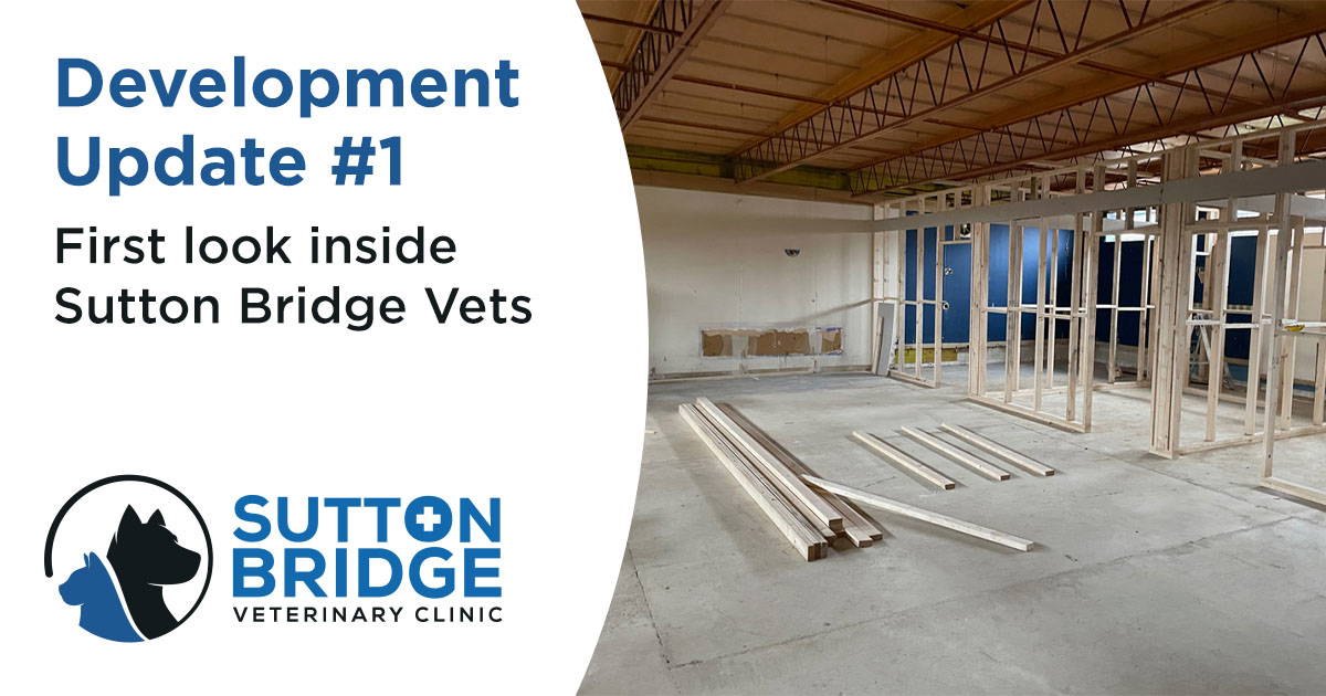 Development Update #1 | Brand New Vet Practice in Sutton Bridge!