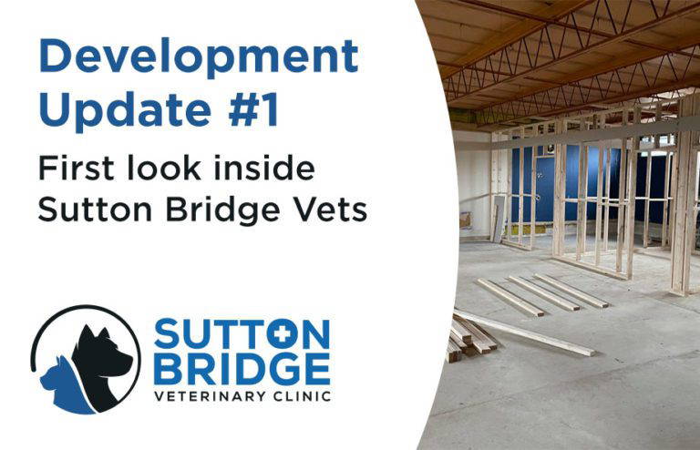 Development Update #1 | Brand New Vet Practice in Sutton Bridge!