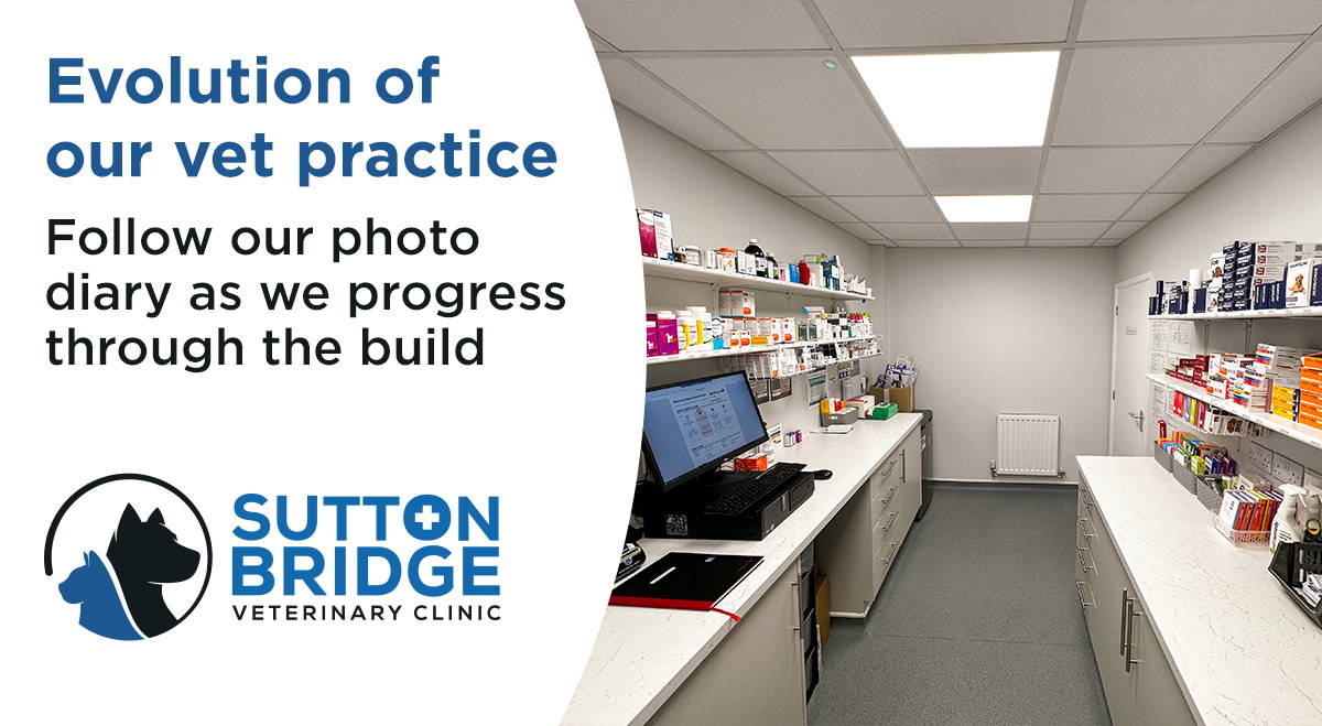 The evolution of a new vet practice | From humble beginnings…