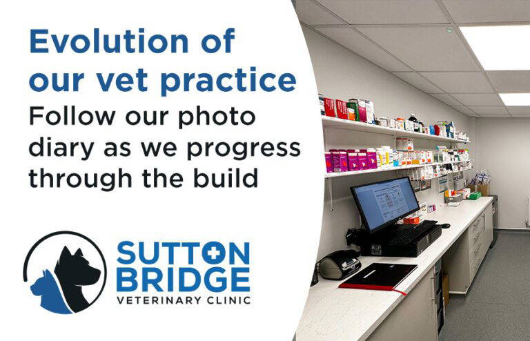 Local Independent Vet | A Great Choice! | Sutton Bridge Vets