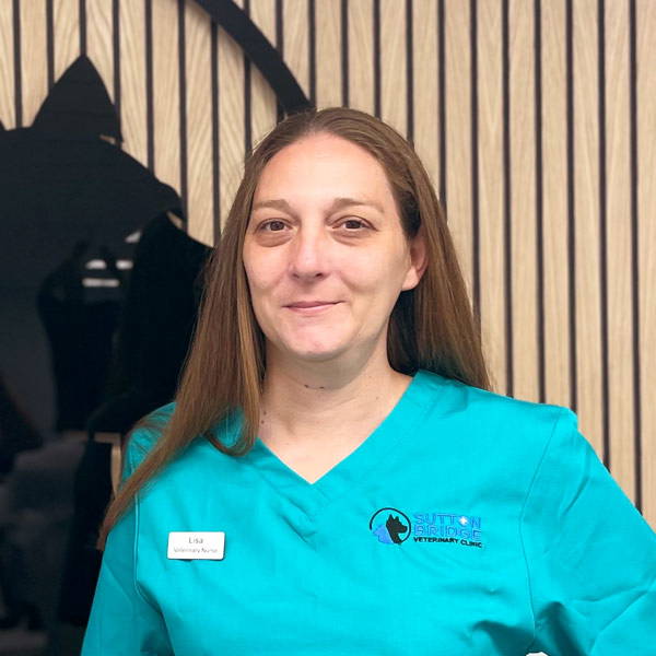 Meet our amazing veterinary team | Sutton Bridge Vets