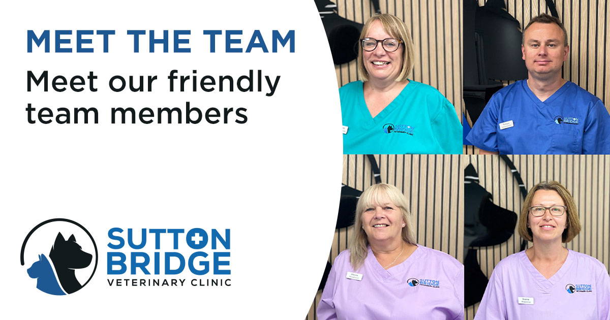 Meet our amazing veterinary team | Sutton Bridge Vets