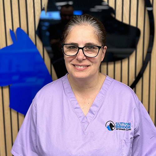 Meet our amazing veterinary team | Sutton Bridge Vets