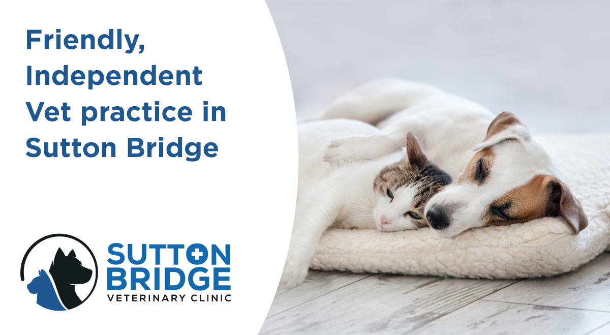 Veterinary Services Sutton Bridge, Spalding | Sutton Bridge Vets
