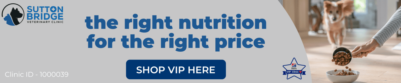 Local Independent Vet | A Great Choice! | Sutton Bridge Vets