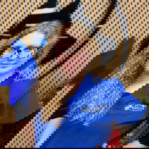 Meet our amazing veterinary team | Sutton Bridge Vets