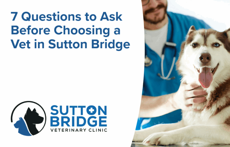 Local Independent Vet | A Great Choice! | Sutton Bridge Vets