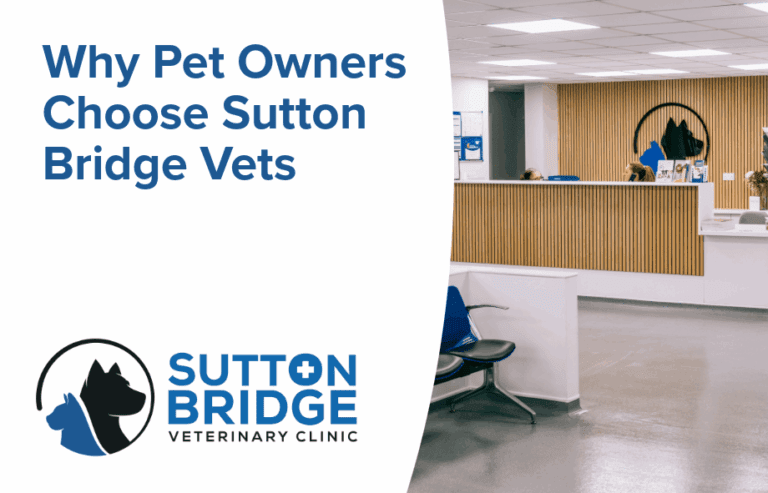 Why Pet Owners Choose Sutton Bridge Vets - Sutton Bridge Veterinary Clinic